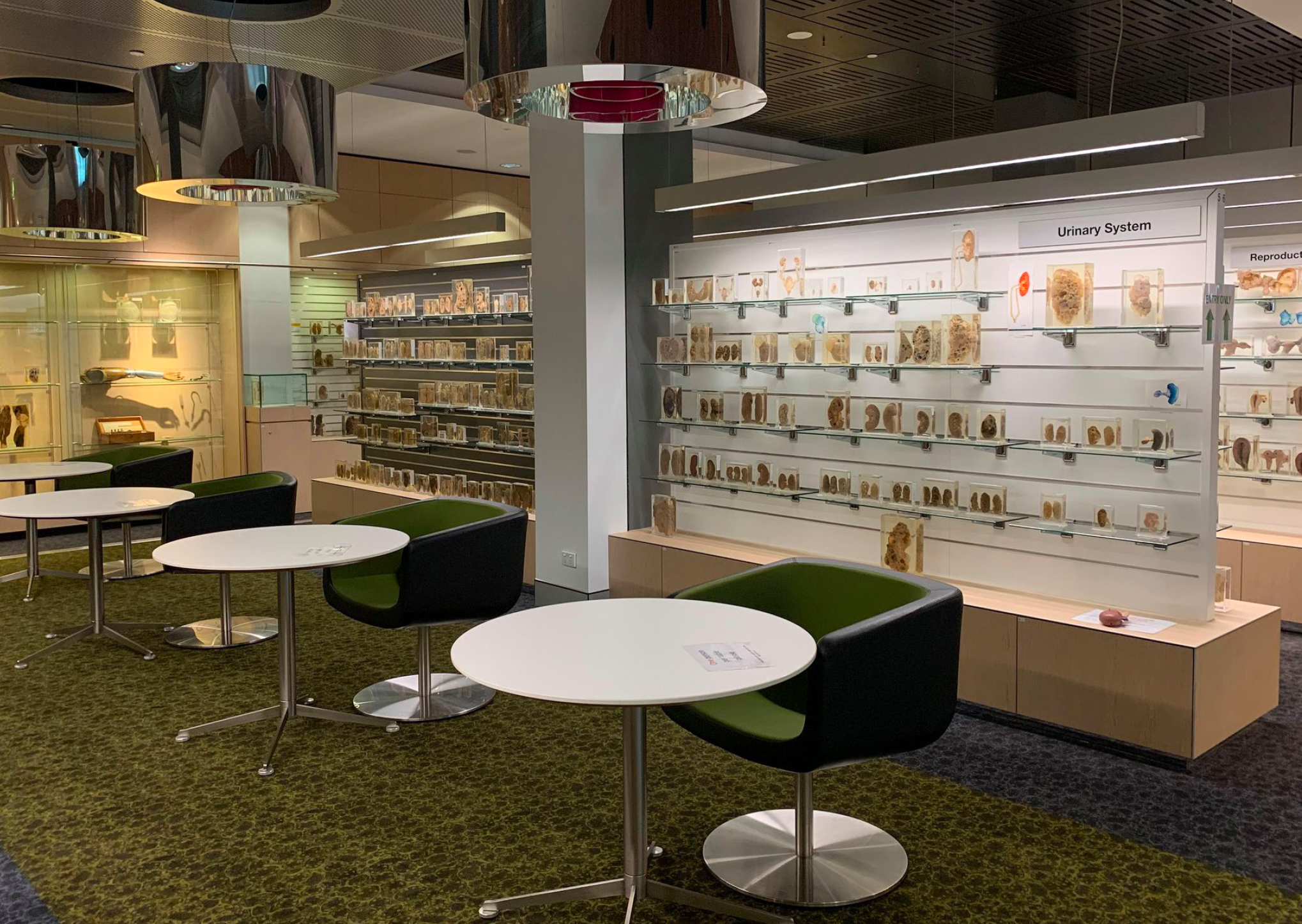 Integrated Pathology Learning Centre Night Tour - Museums and Galleries QLD